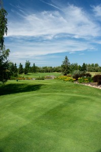 Gallery - Jagare Ridge Golf Club